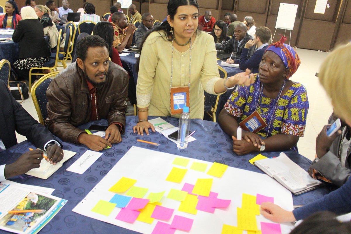 Leave No Mountain Behind: The Synthesis Series - Integration of ...