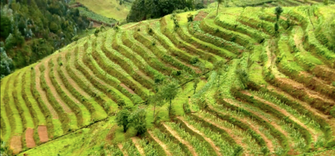 FONERWA - Adaptation At Altitude