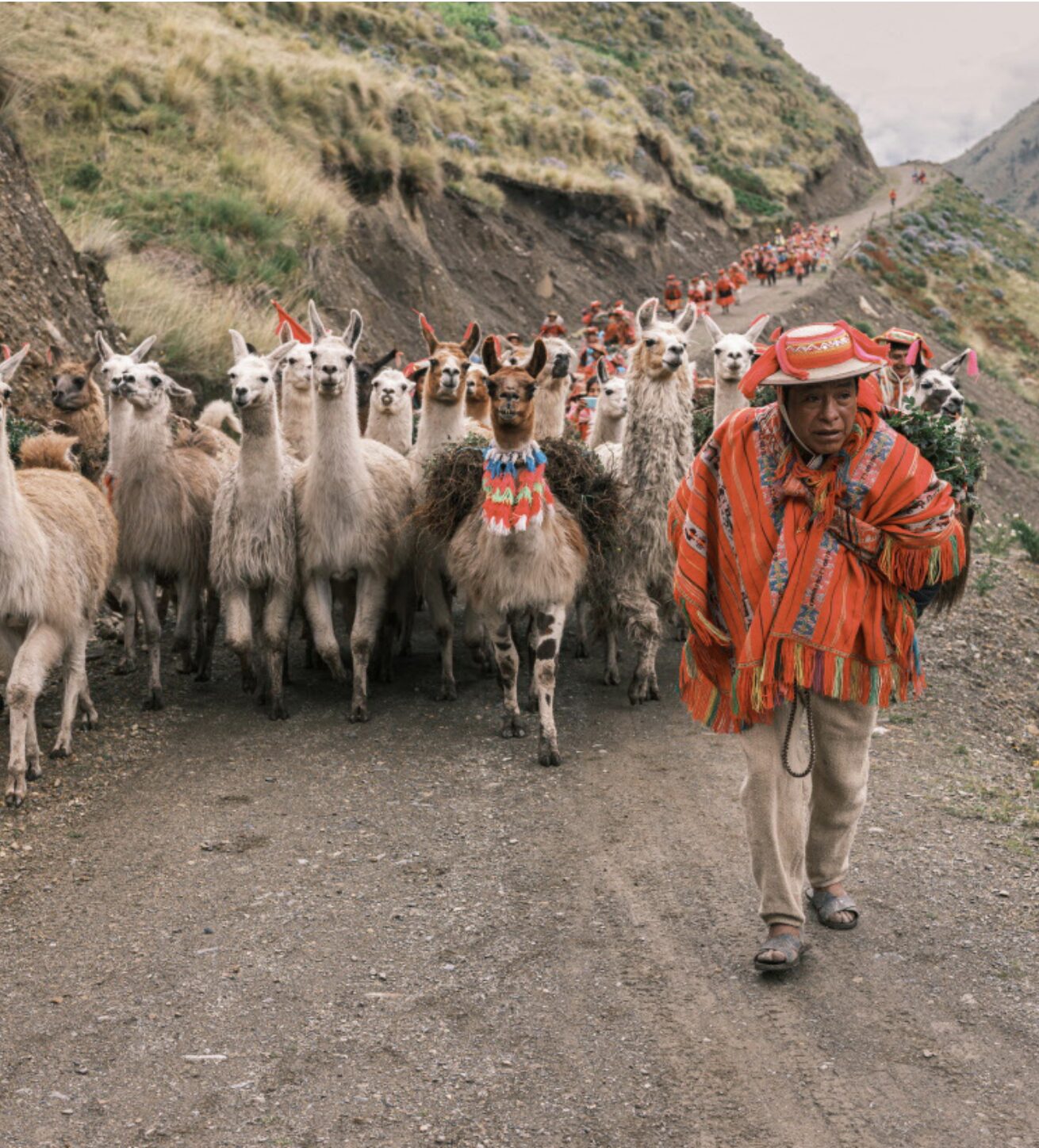 Leave no mountain behind: the synthesis series - Migration, mobility ...